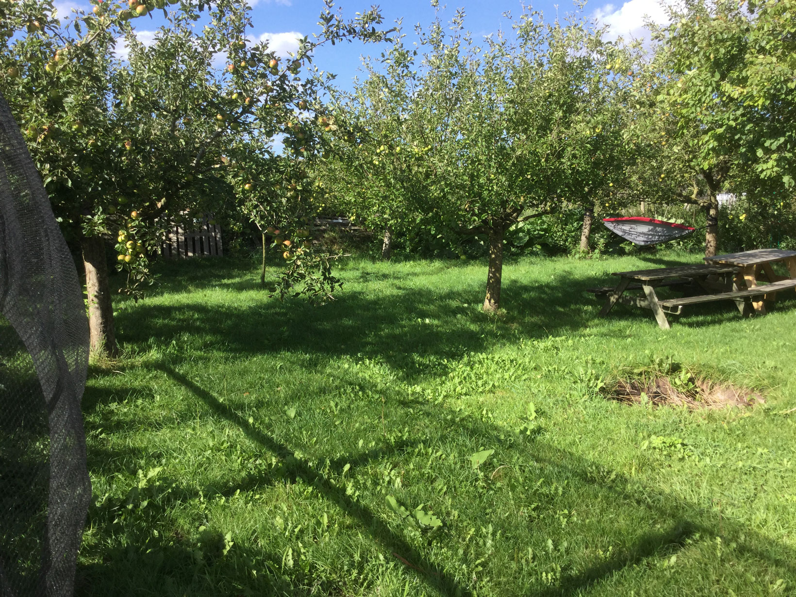 Volunteering – FarmAbility